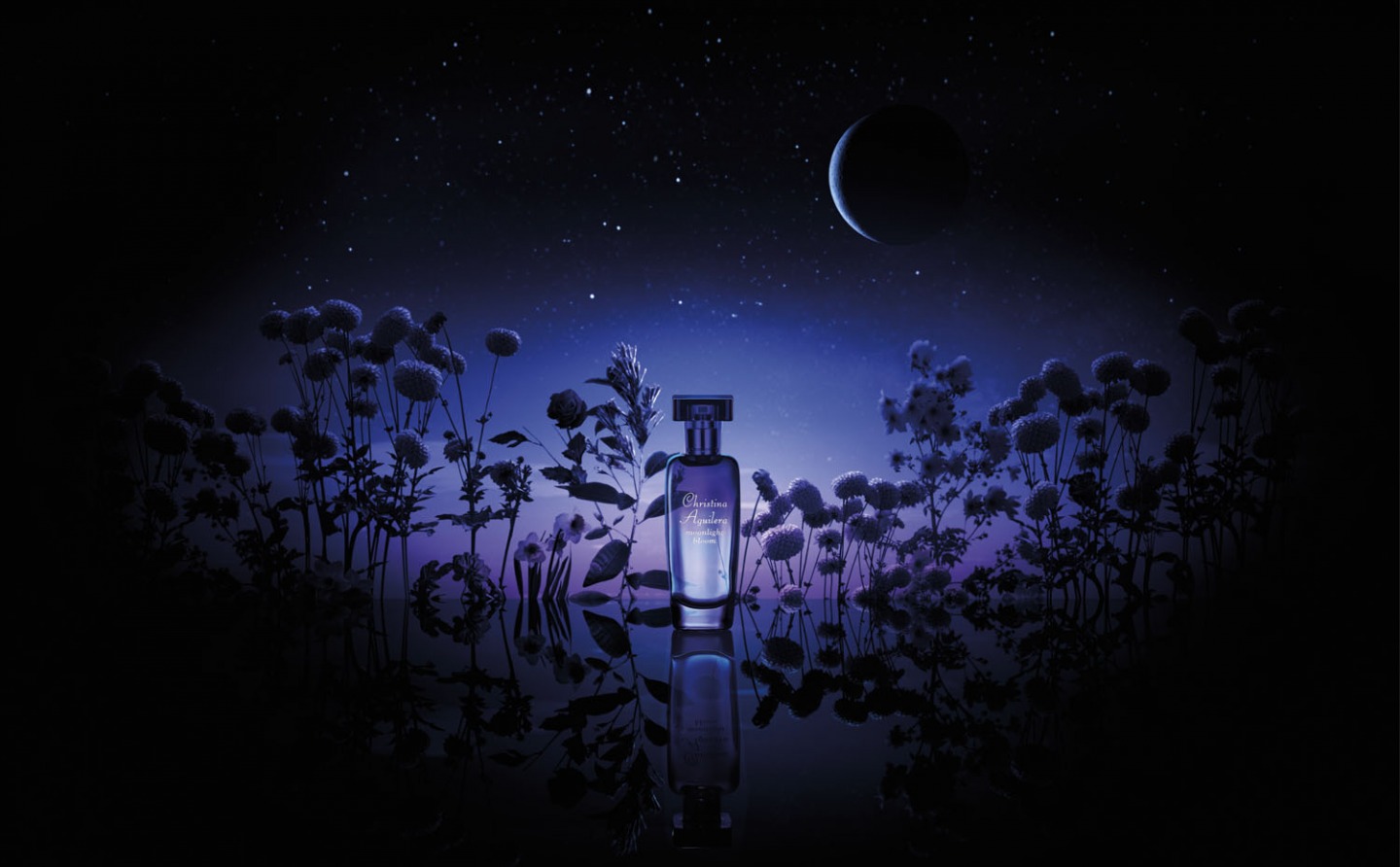 GB65 | Moonlight Bloom: Christina Aguilera